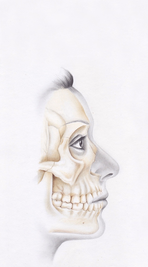 Facelift Science | Deep Plane Facelift Surgeon London UK